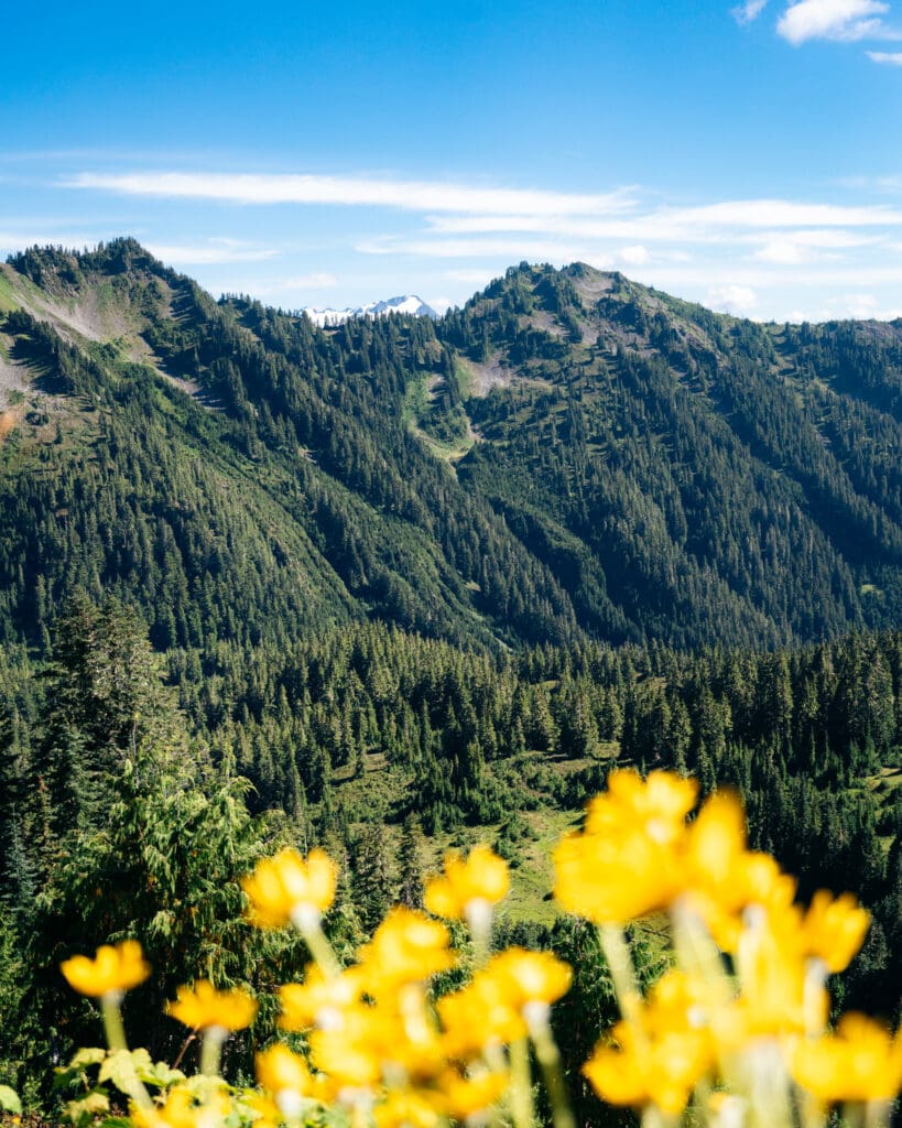 Seven Lakes Basin High Divide Loop | laurensbigadventure.com